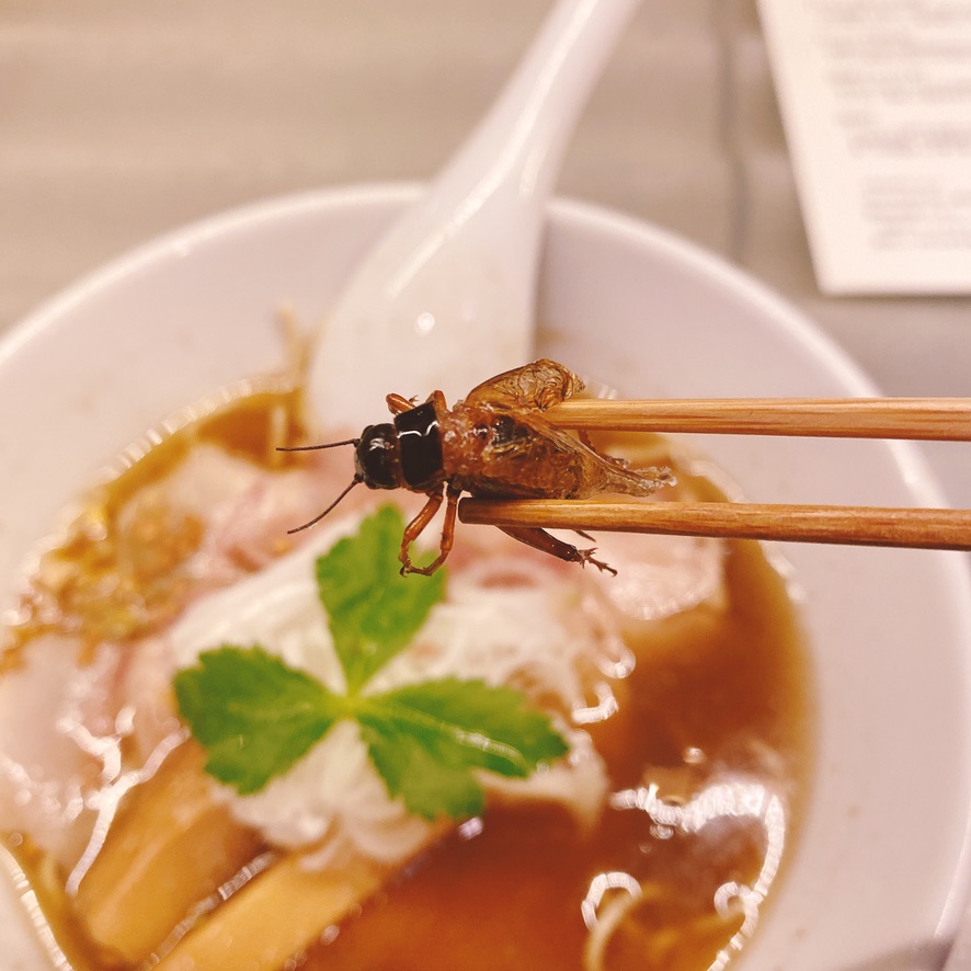【ANTCICADA】(＠中央区・馬喰町）1杯にコオロギ160匹利用！出汁にも醤油にも麺にもコオロギを使った「コオロギラーメン」│東京下町・ひとり飯